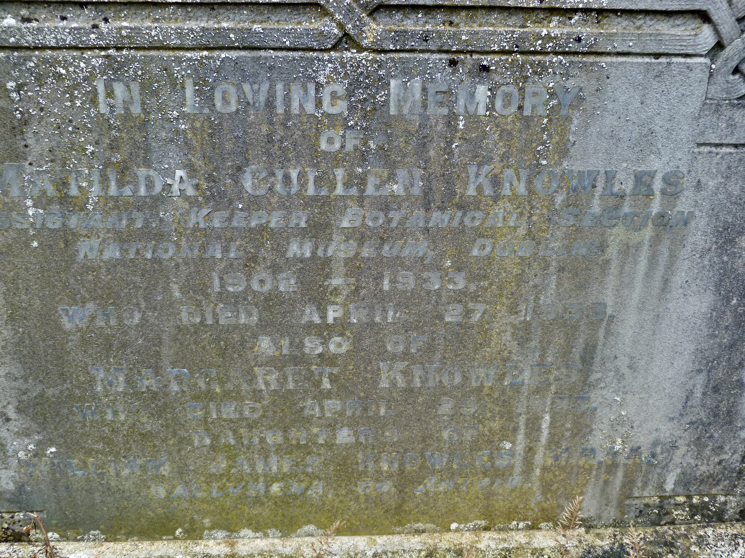 Matilda Knowles – A Bitter Equation