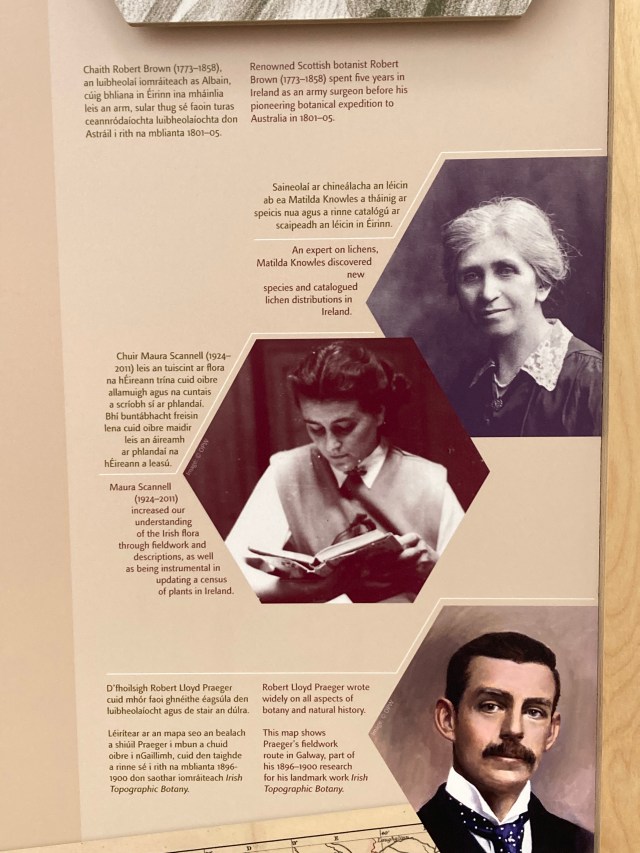 Matilda Knowles – Dora, CASS