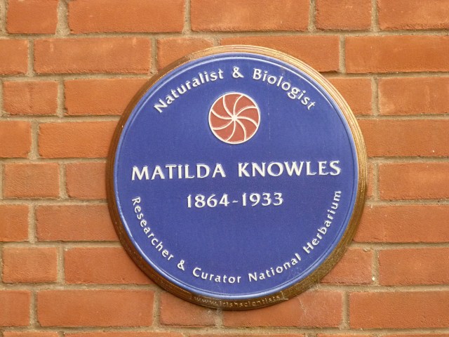 Matilda Knowles – A Bitter Equation